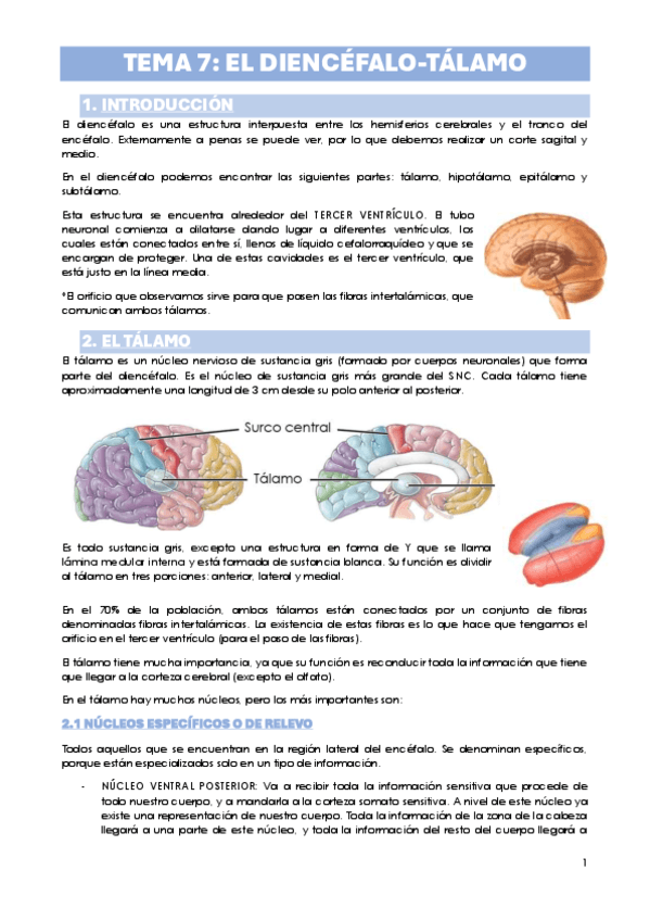 TEMA-7.-EL-TALAMO.pdf