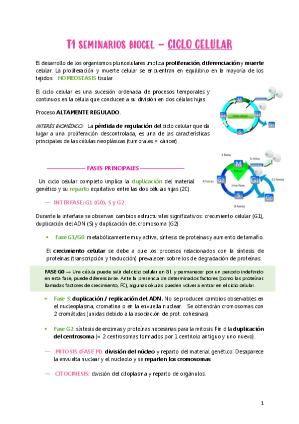 2023-2024 SEMINARIOS BIOCEL Nacho (4 temas).pdf