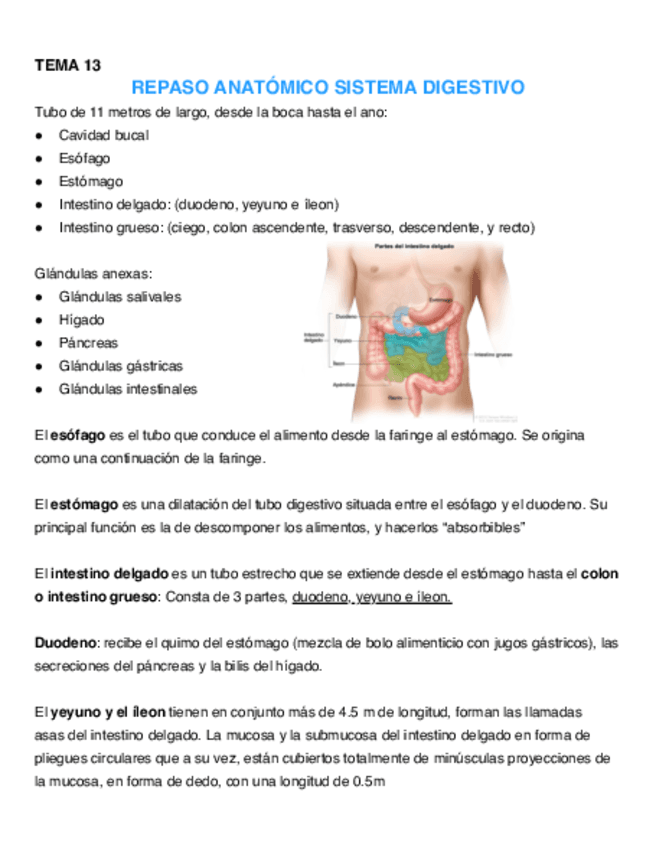 TEMA-13-CUIDADOS.pdf