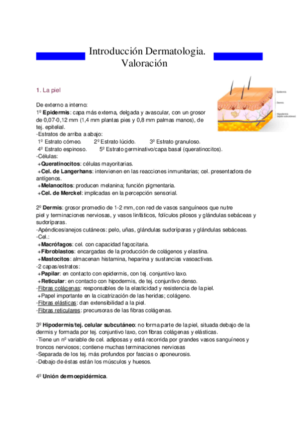 Resumen-T.1-Introduccion-Dermatologia.-Valoracion.pdf