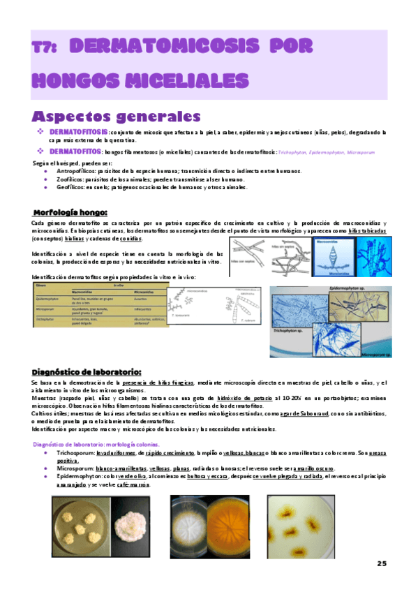 MICRO-MED-T7-y-T8.pdf