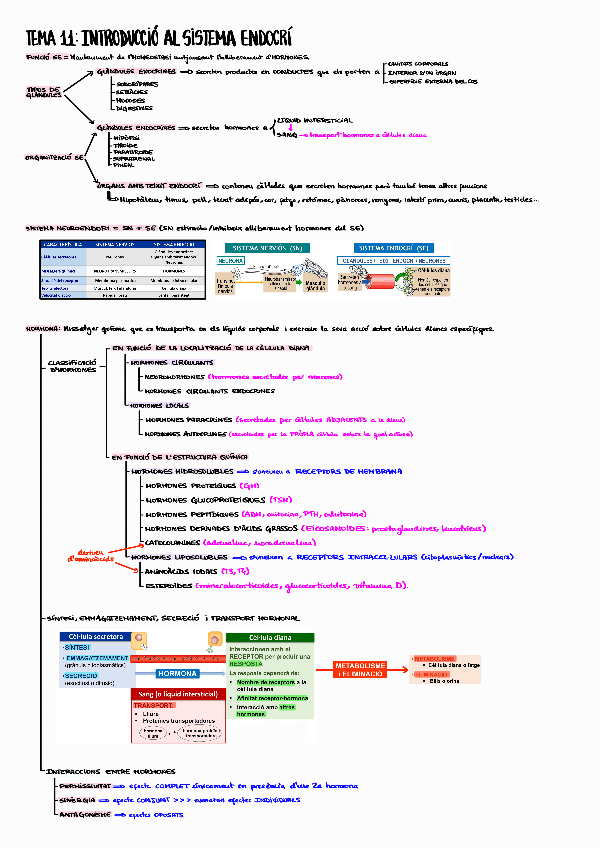ESQUEMA-TEORIA-SEGON-PARCIAL.pdf