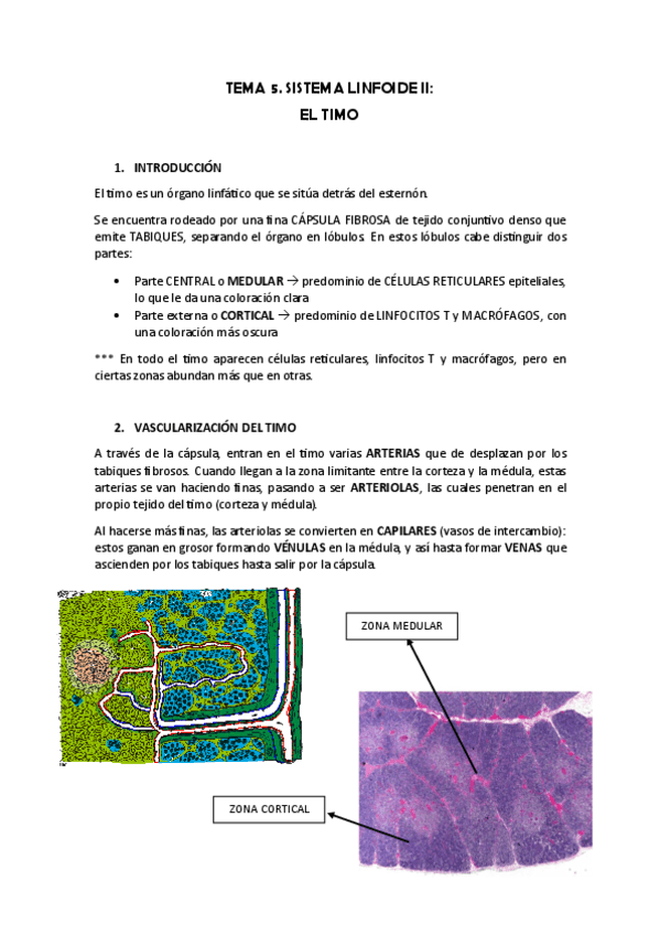 TEMA-5.-EL-TIMO.pdf