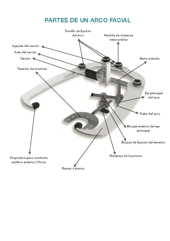 partes-arco-facial.pdf