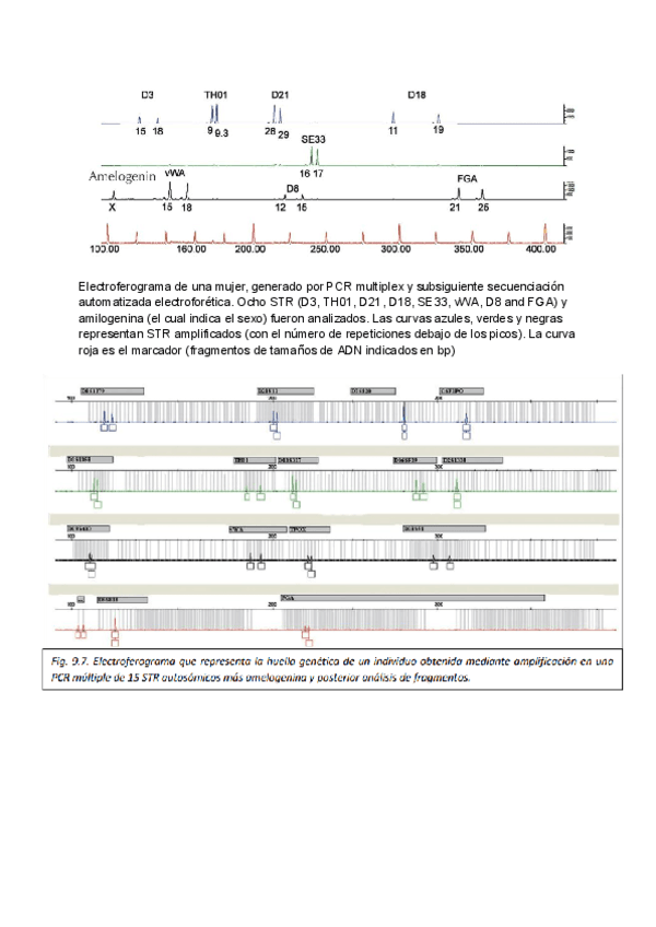 electroferograma.pdf