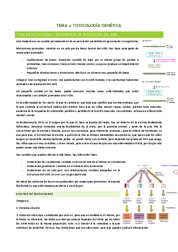 TEMA-4-TMC-parte-1.pdf