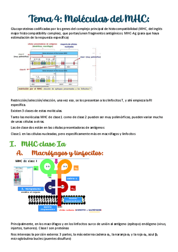 Tema-4-Moleculas-del-MCH.pdf