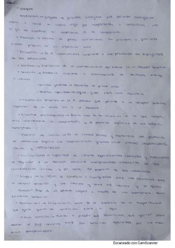 Preguntas-y-respuestas-FCHI.pdf