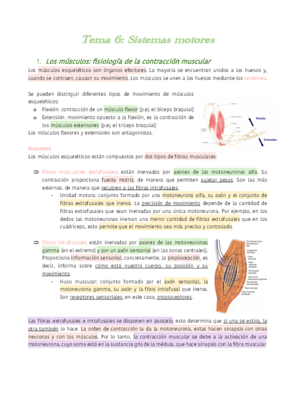 Sistemas-motores.pdf
