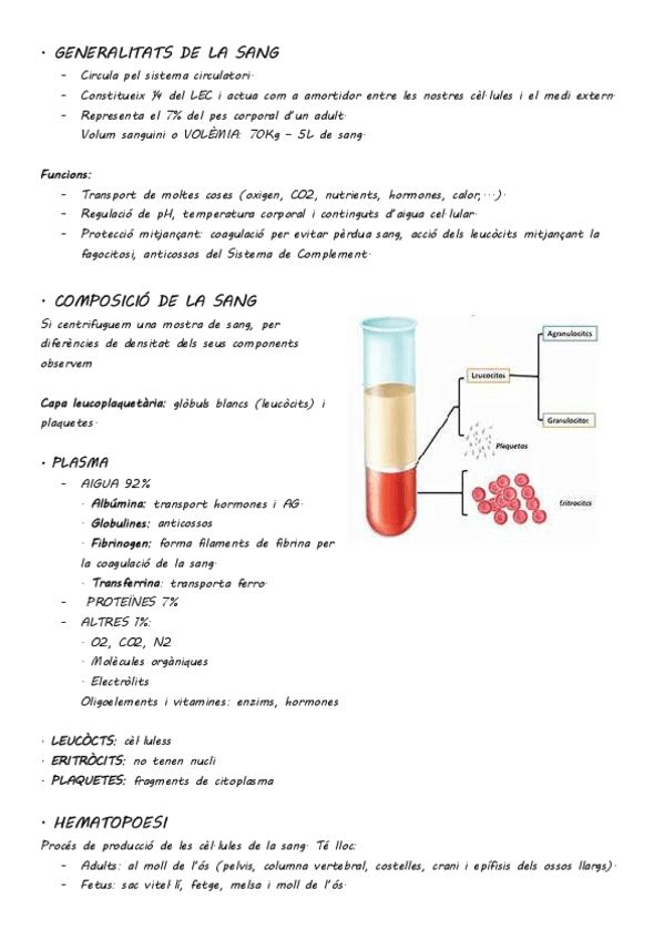Apunts-fisiologia-sang-i-immunitat.pdf