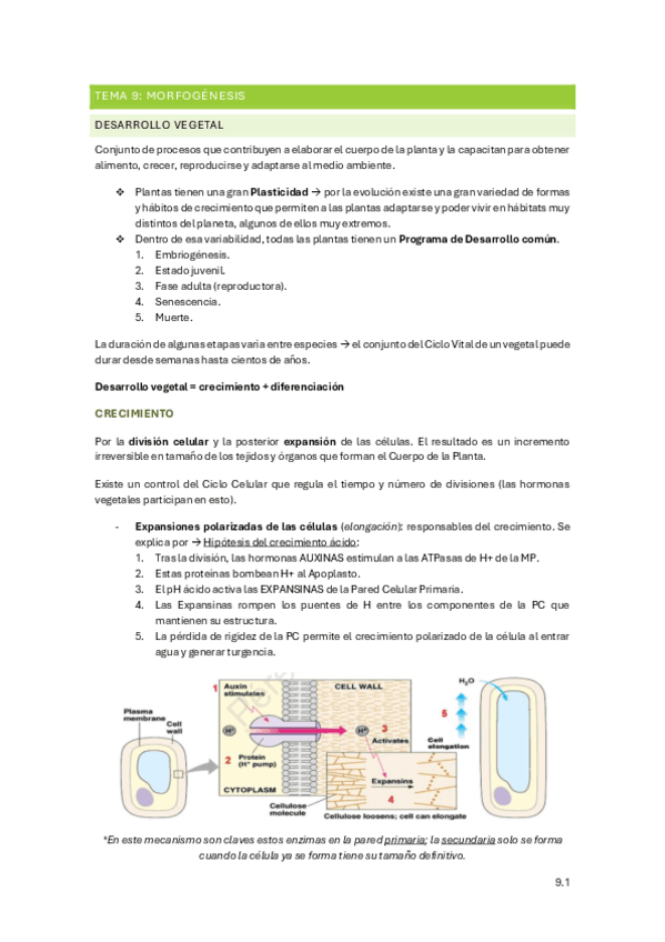 tema-9-Fisiologia-Vegetal.pdf