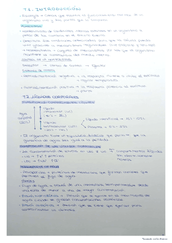 Bloque 1-T1.-Introduccion y T2.pdf