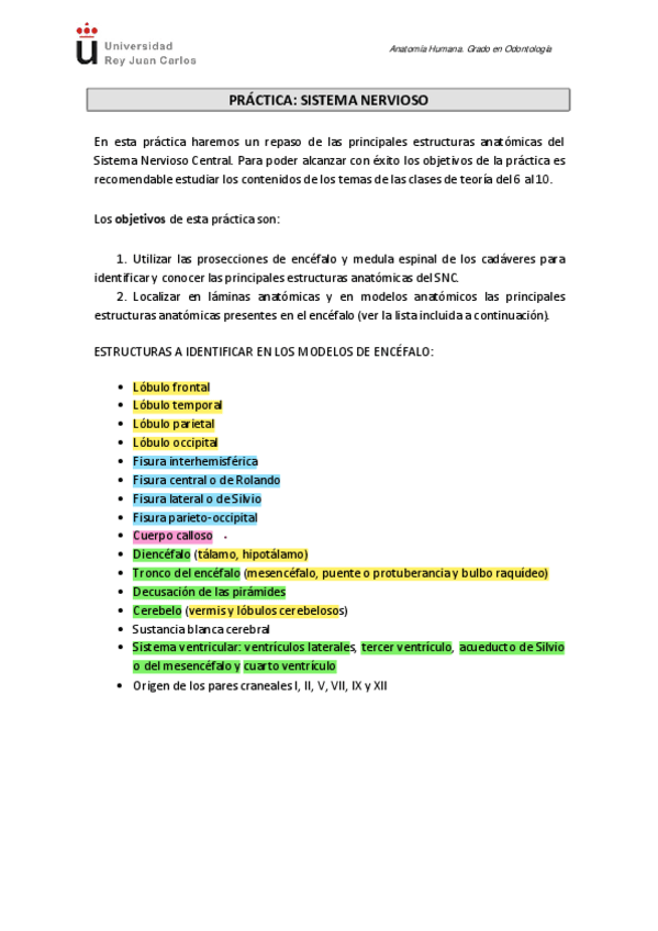 Practica-2.-Estudio-del-SNC.pdf