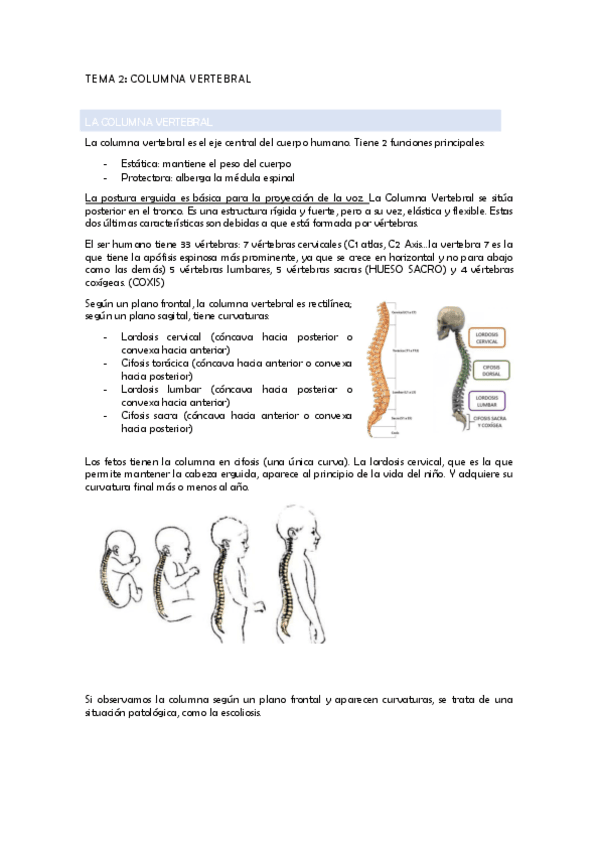 TEMA-2.-COLUMNA-VERTEBRAL.pdf