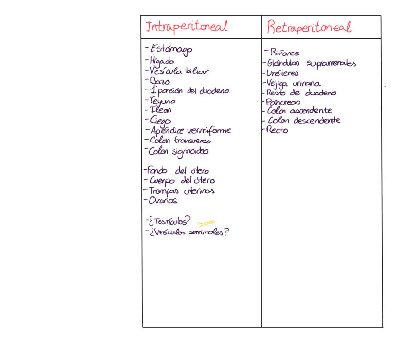 Intra-retroperitoneal-anatomia.pdf