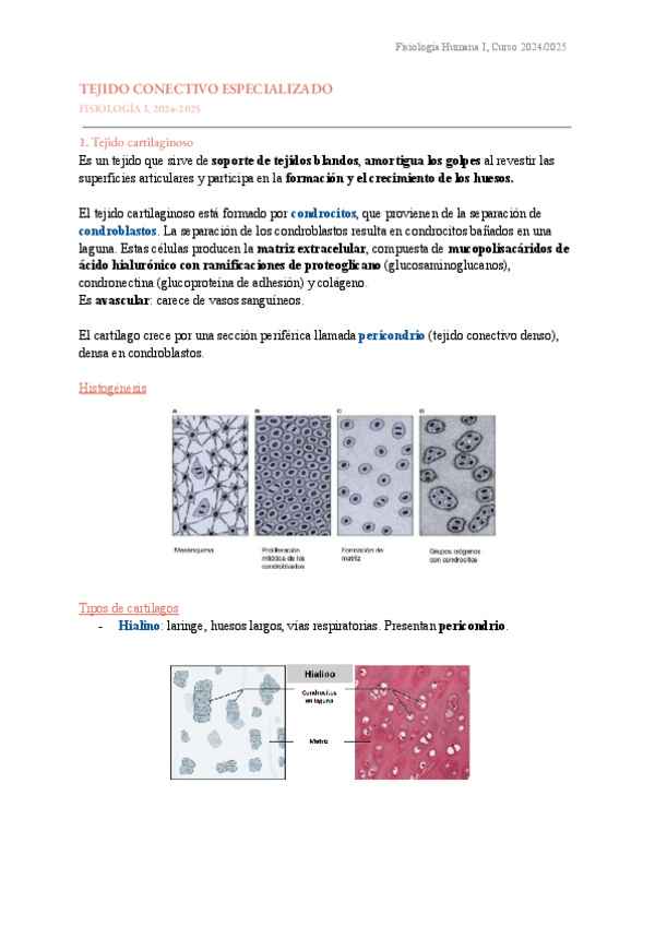 FISIO-I-T4-Tejido-conectivo-especializado.pdf