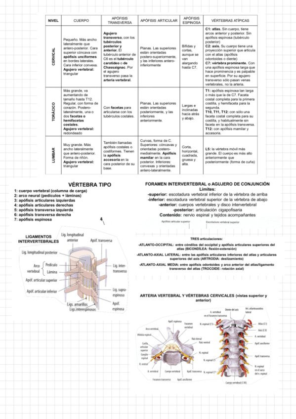 Cuadros-Resumen.pdf