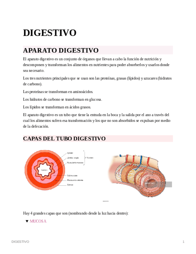 Digestivo.pdf