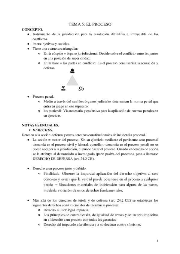 TEMA-5-PROCESAL.pdf