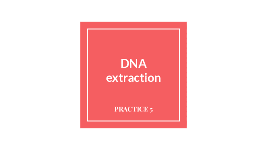 Practice-5-DNA-extraction.pdf