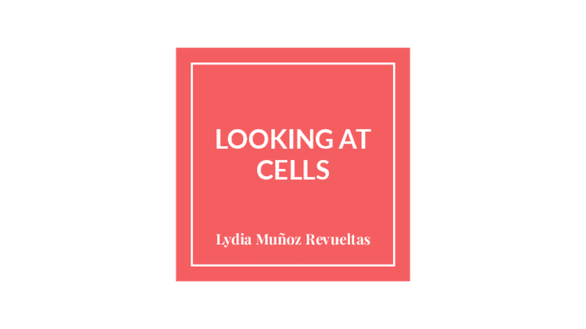 Practice-Looking-at-cells.pdf