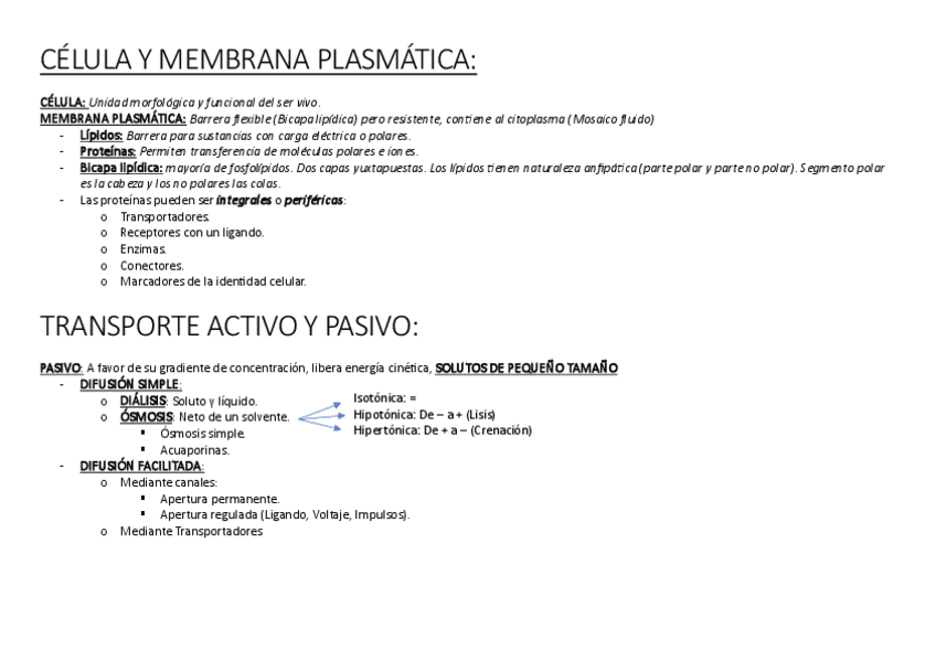 Esquema-de-ideas-UD-1.pdf