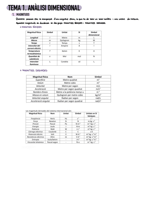 tema-1.-analisi-dimensional.pdf
