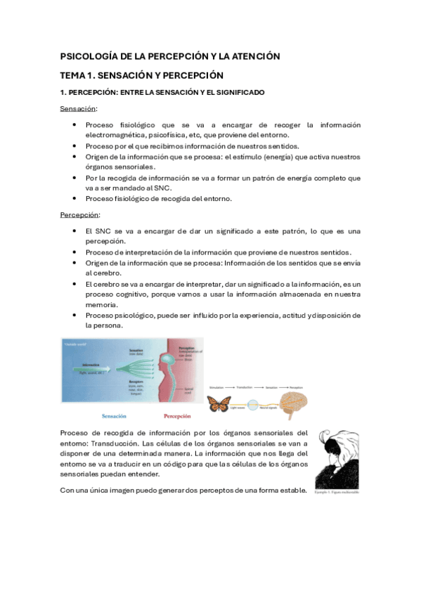 PSICOLOGIA-DE-LA-PERCEPCION-Y-LA-ATENCION-TEMA-1.pdf