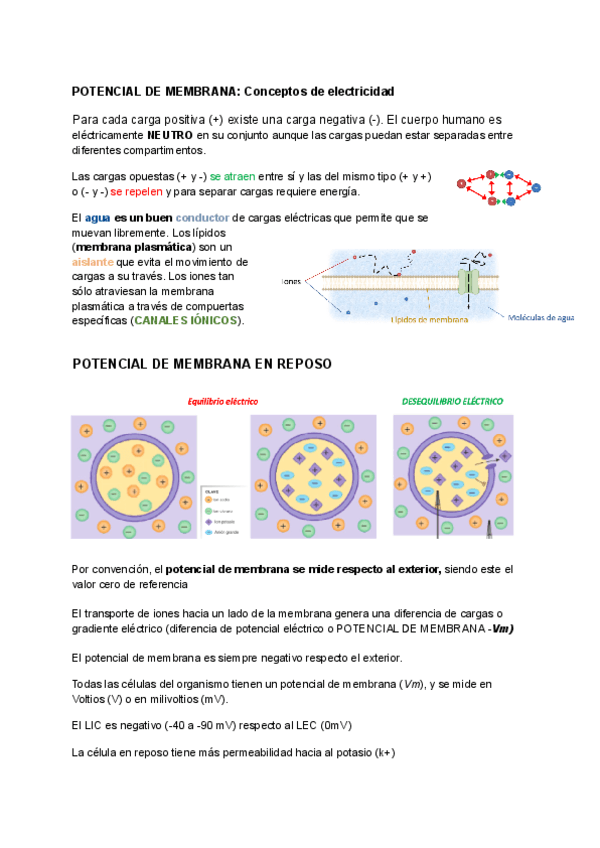 3.-POTENCIAL-DE-MEMBRANA.pdf