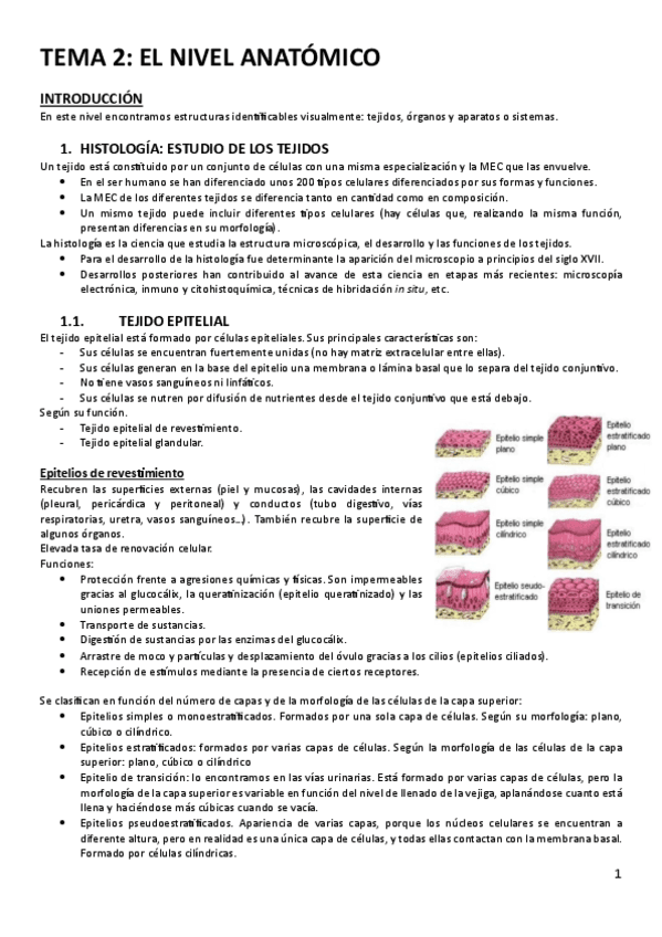 TEMA-2.-El-nivel-anatomico..pdf