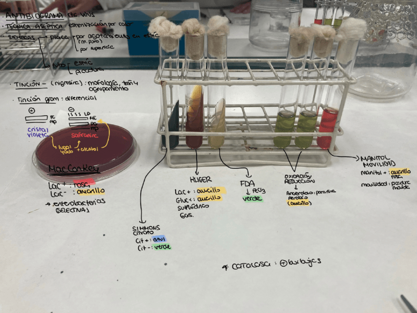 Esquemas-practicas-micro-I.pdf