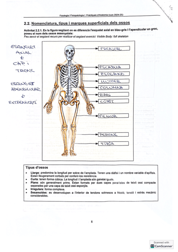 EXERCICIS-PREVIS-PRACTIQUES.pdf