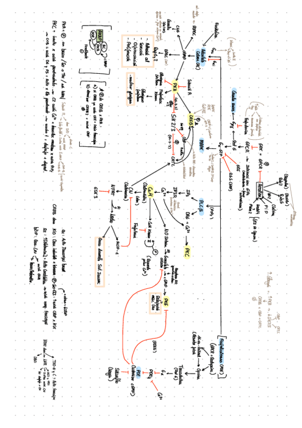 Esquema-TODAS-las-rutas.pdf