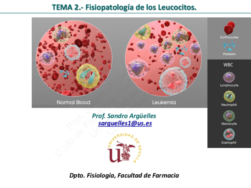 FP-Tema-2.-Fisiopatologia-de-los-leucocitos-SAC.pdf