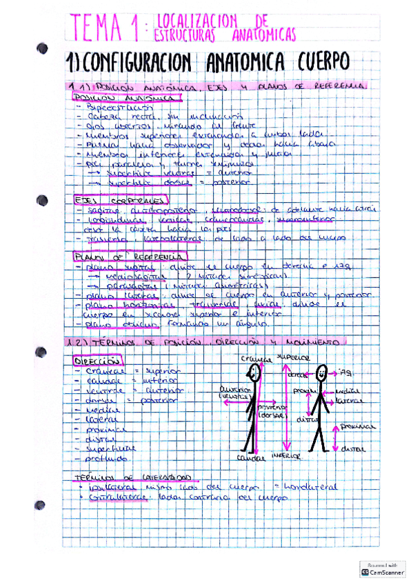 Tema 1: Localización de estructuras anatómicas.pdf