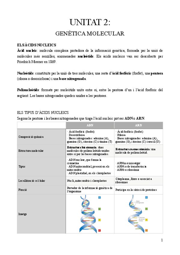 U2-BIO-2.0-Genetica-molecular-pdf.pdf