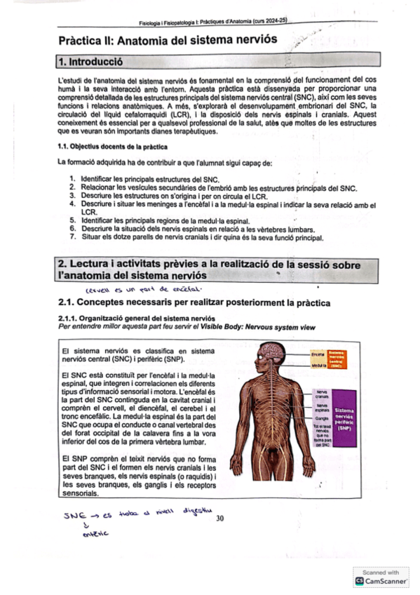 Practica-2-Anatomia-del-sistema-nervios.pdf