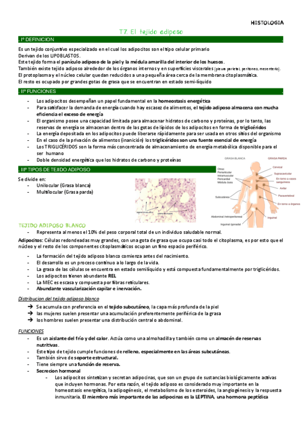 T7-Histologia.pdf