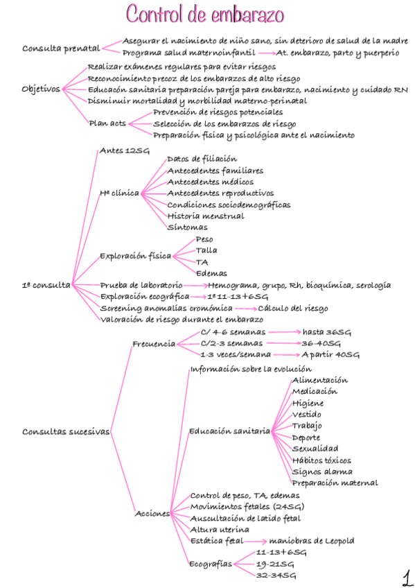 Control-De-Embarazo.pdf