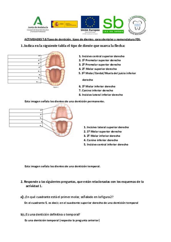 Tipos-de-denticion-tipos-de-dientes-caras-dentales-y-nomenclatura-FDI.pdf