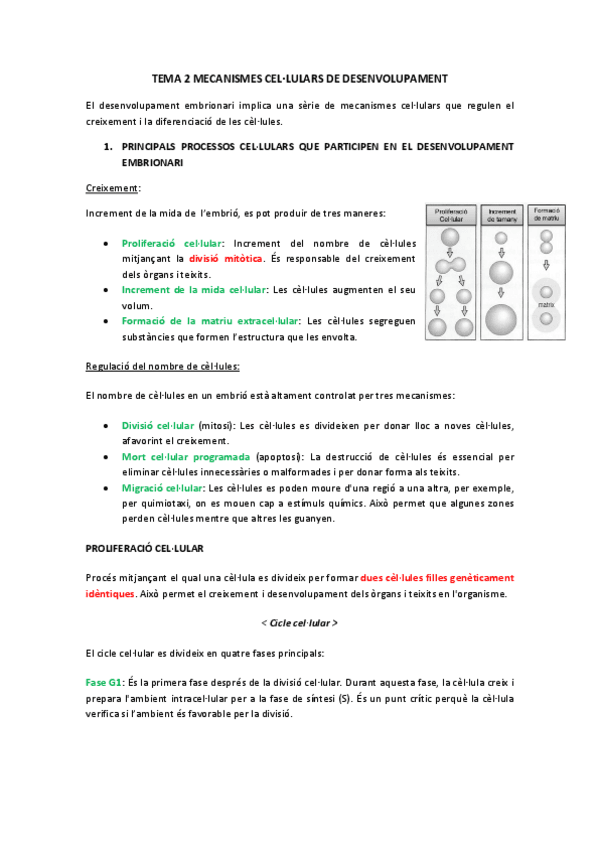 tema-2-mecanisme-celulars-de-desenvolupament.pdf