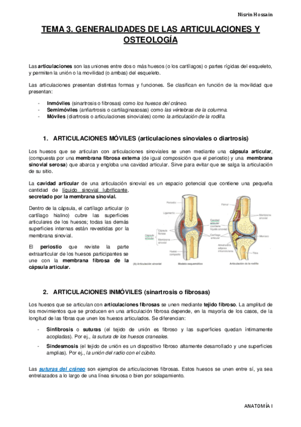 TEMA-3-anatomia.pdf
