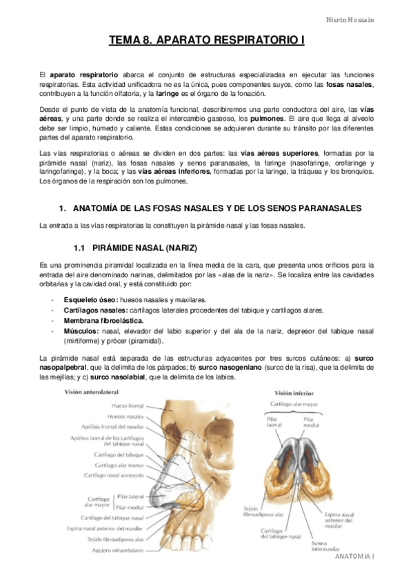 TEMA-8-anatomia.pdf