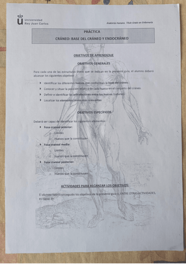 PRÁCTICA 1 ANATOMÍA. CRÁNEO (BASE DEL CRÁNEO Y ENDOCRÁNEO).pdf