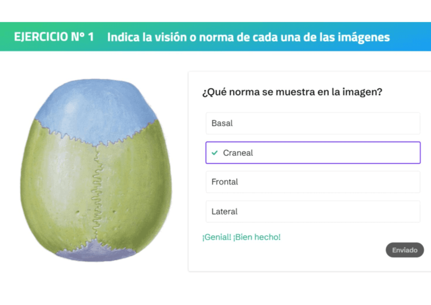 PRÁCTICA 1 ANATOMÍA. CRÁNEO (EXOCRÁNEO).pdf