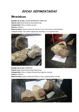 ROCAS SEDIMENTARIAS.pdf