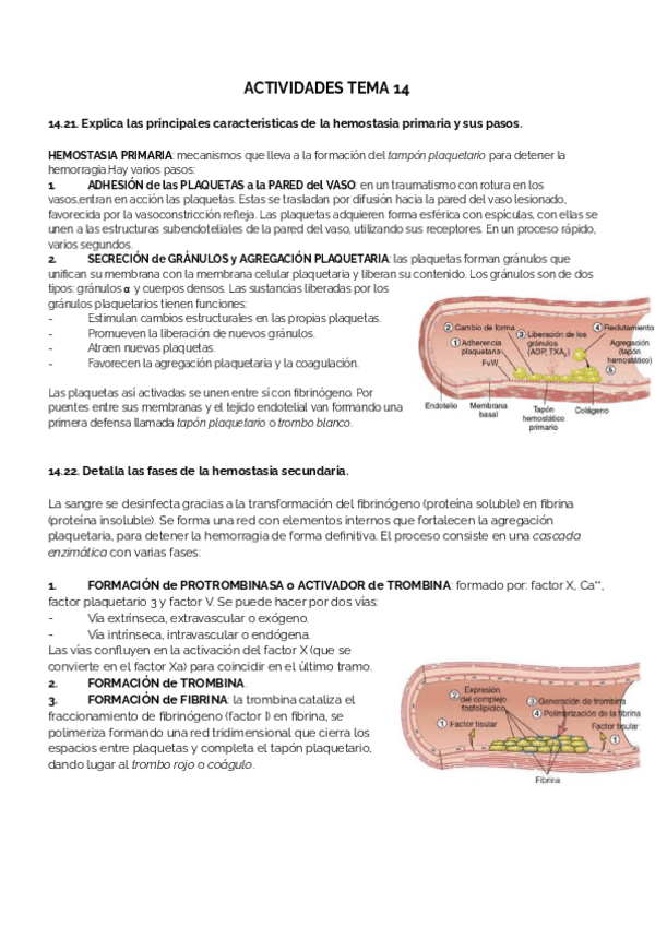 EJERCICIOS-T.-14-FISIO.pdf