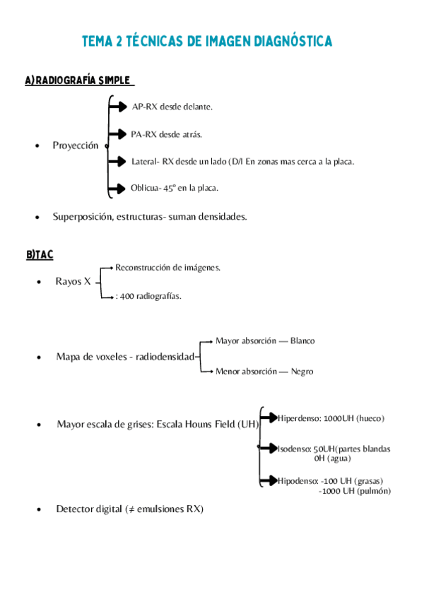 Esquema-t2-anatomia.pdf