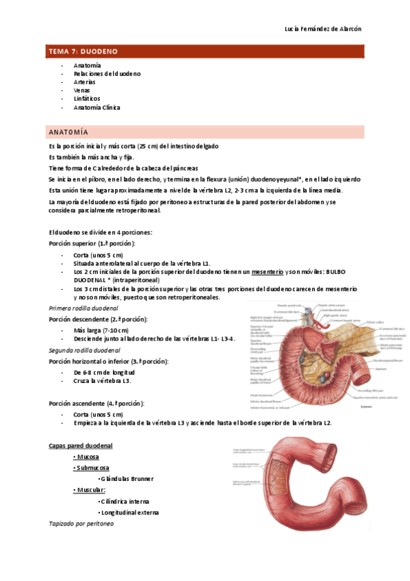 tema-7-y-8-ANAT-DRURE.pdf