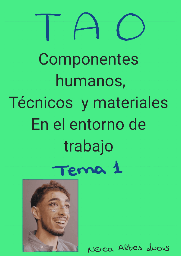 Resumen-TEMA1-TAO.pdf